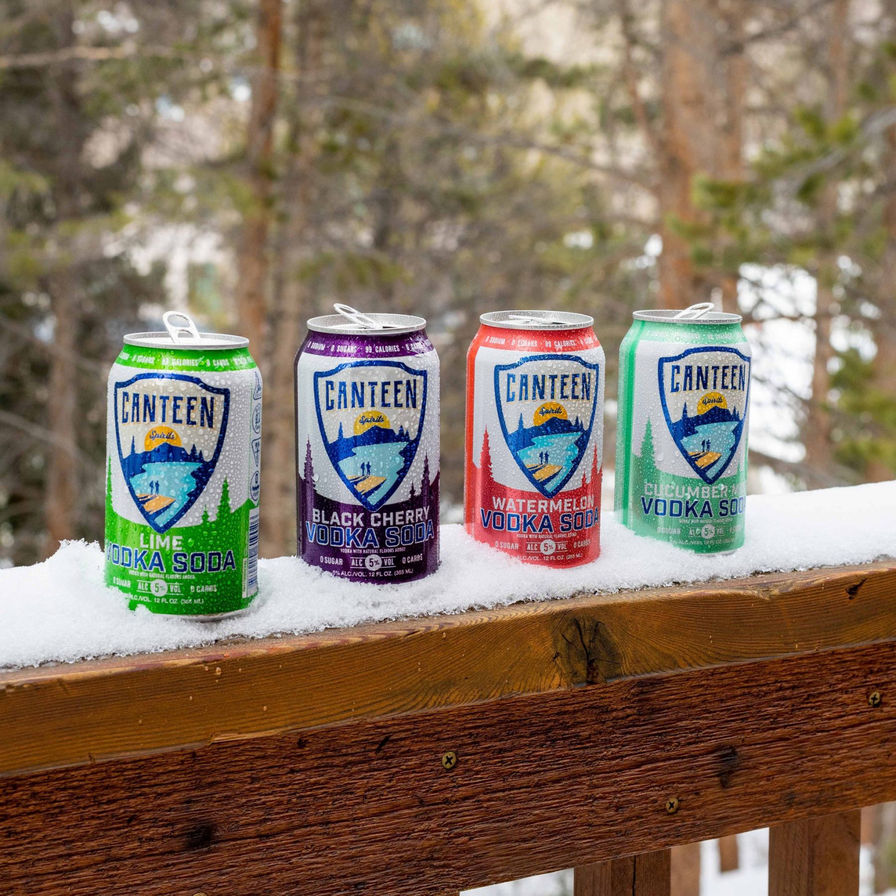 Our Favorite Cocktails in a Can