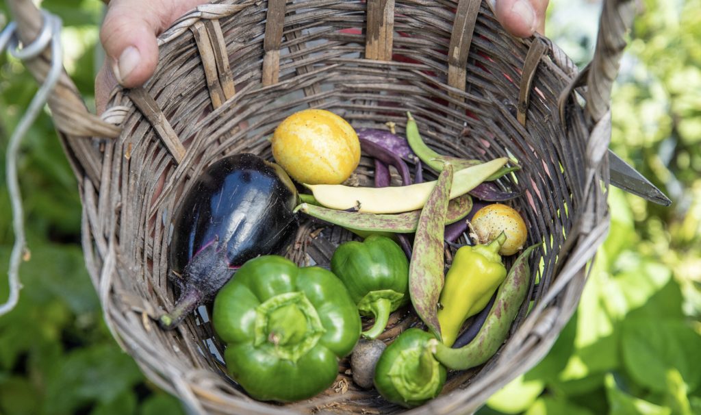 10 Vegan and Vegan-Friendly Restaurants That Grow Their Own Produce
