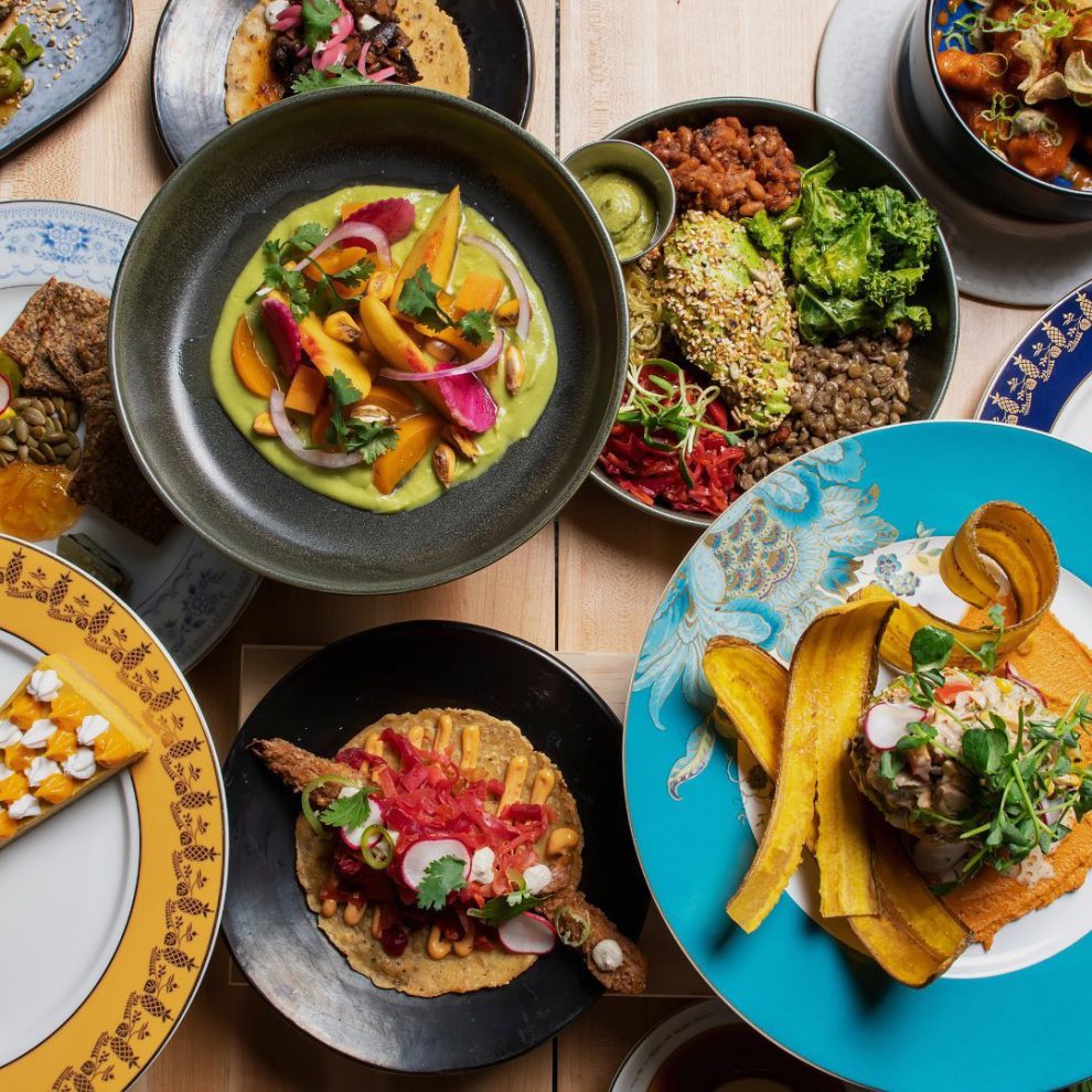 Best Upscale Vegan Restaurants Across the US