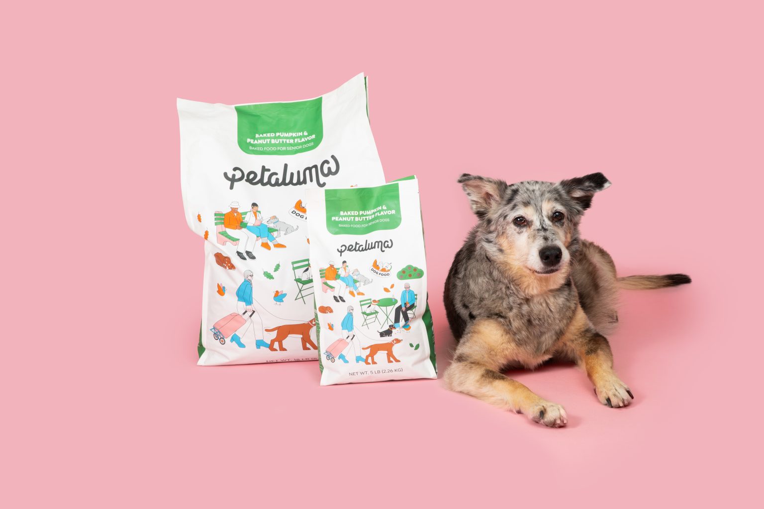 10 Vegan Dog Food Brands Your Pup May Love