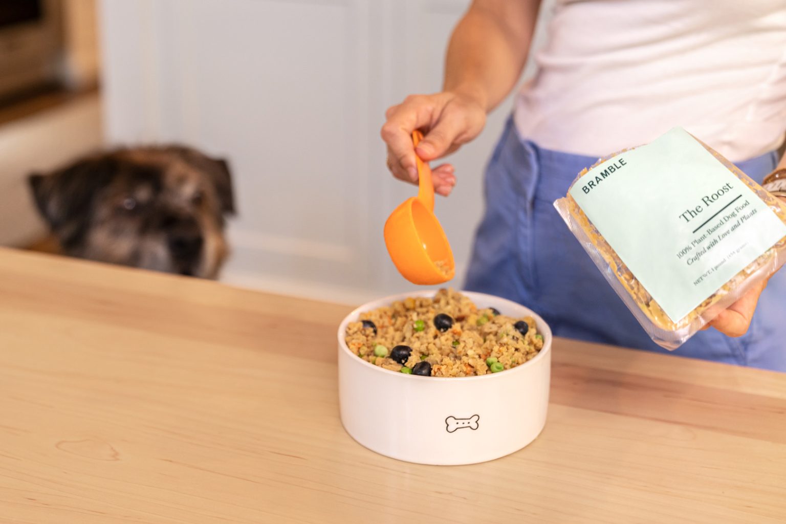 10 Vegan Dog Food Brands Your Pup Will Love