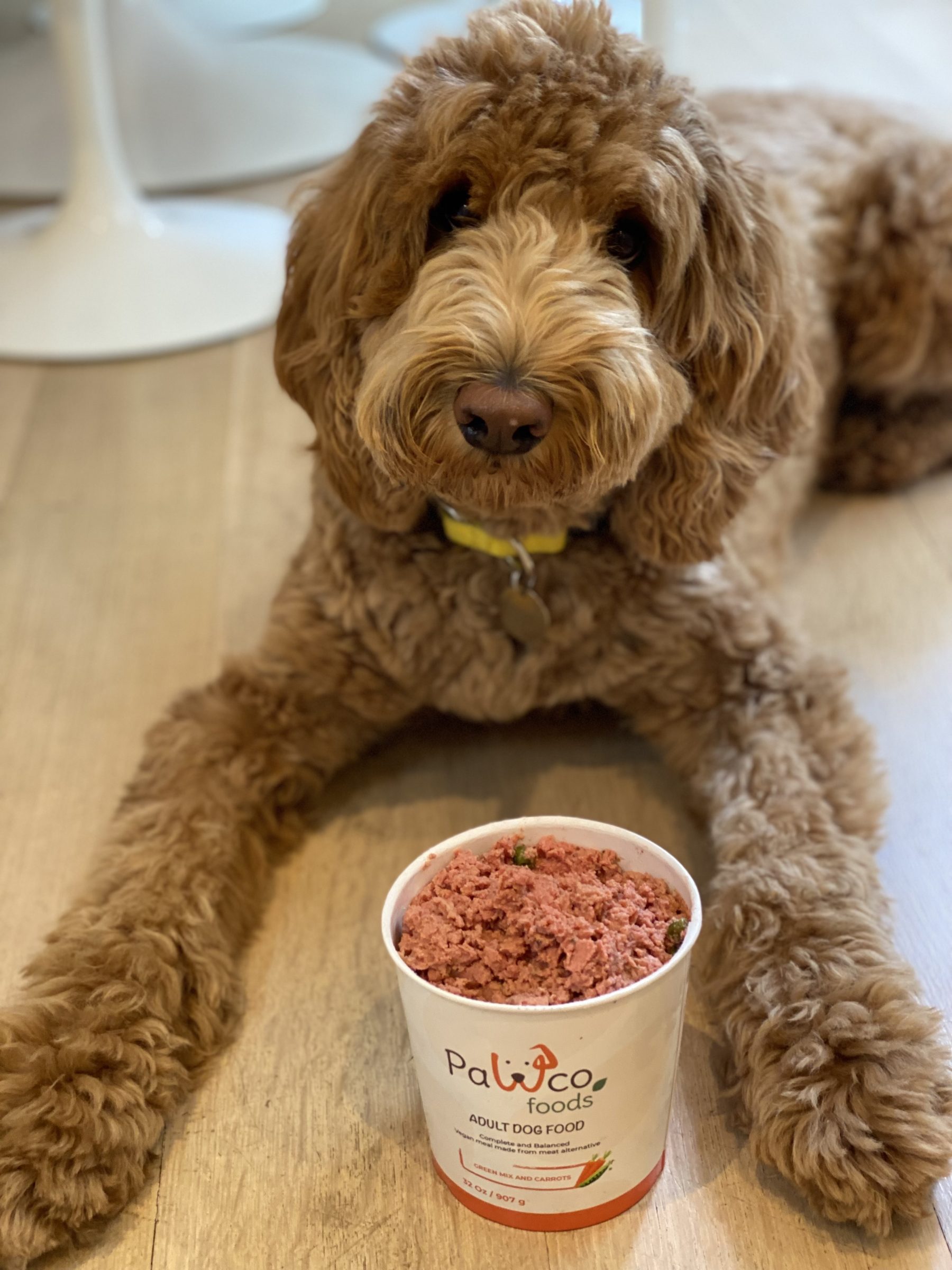 11 Vegan Dog Food Brands Your Pup Will Love