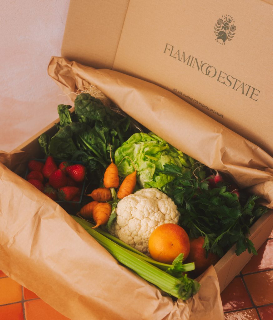 8 Produce Delivery Boxes for 2025 (Reviewed)