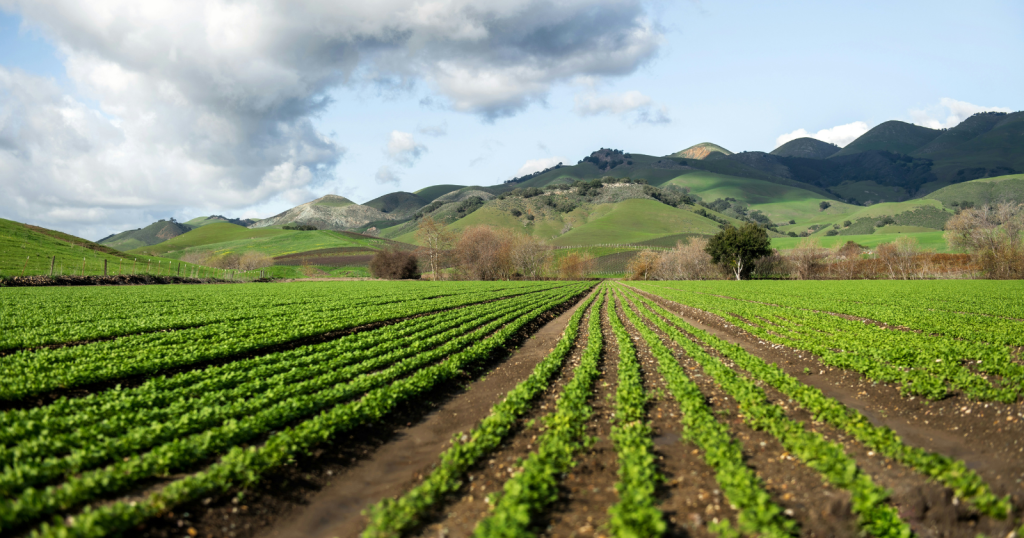 Going vegan could free up 75% of global farmland—see the landscape we’d ...