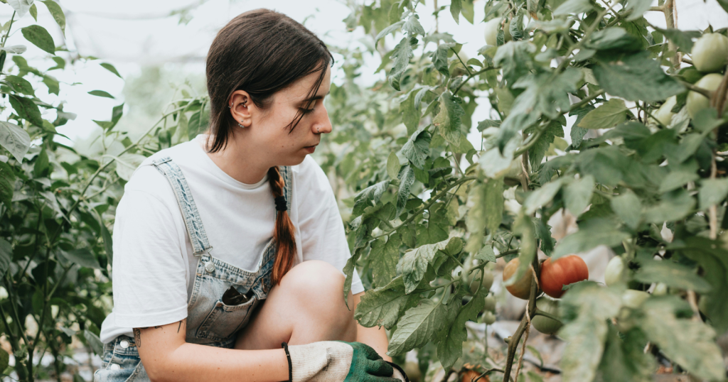 The ultimate seasonal produce calendar for plant‑based cooks