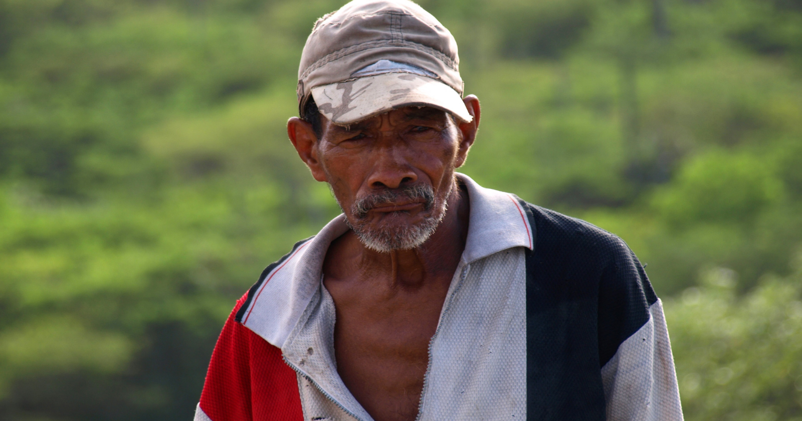 Blood avocados: Inside the cartel violence behind America's favorite fruit