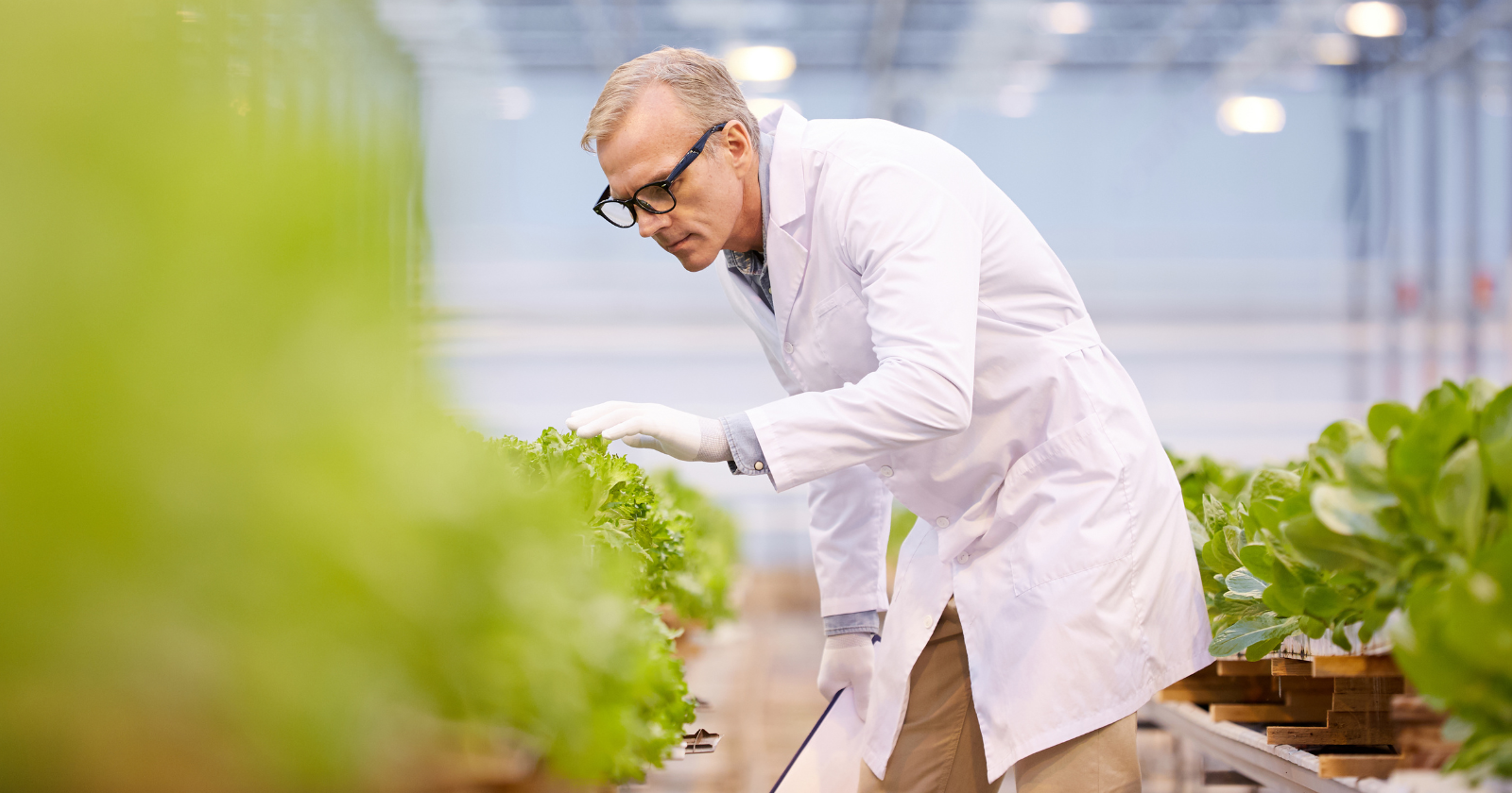 Why scientists say veganism is key to fighting climate change – VegOut